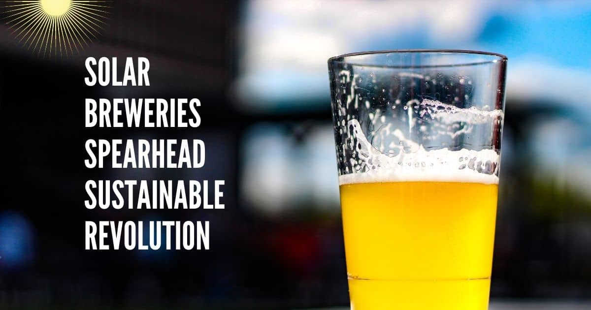 Solar-Powered Breweries Lead Charge Toward Sustainability | Sullivan ...